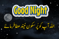 Top 20+ Maulana Rumi Quotes in Urdu English & Farsi Poetry